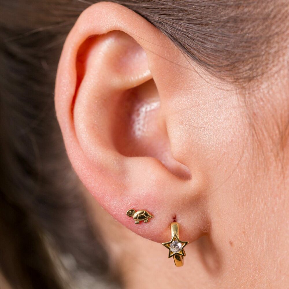 Mini Aro Hiba | Darwin Collection