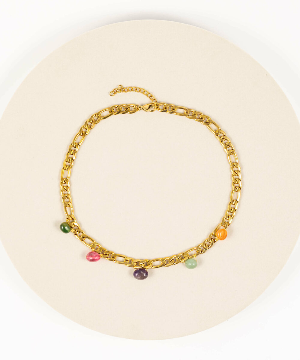 Novedades – Darwin Collection