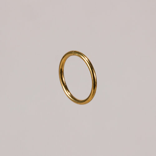 Mini Aro Gold | Darwin Collection