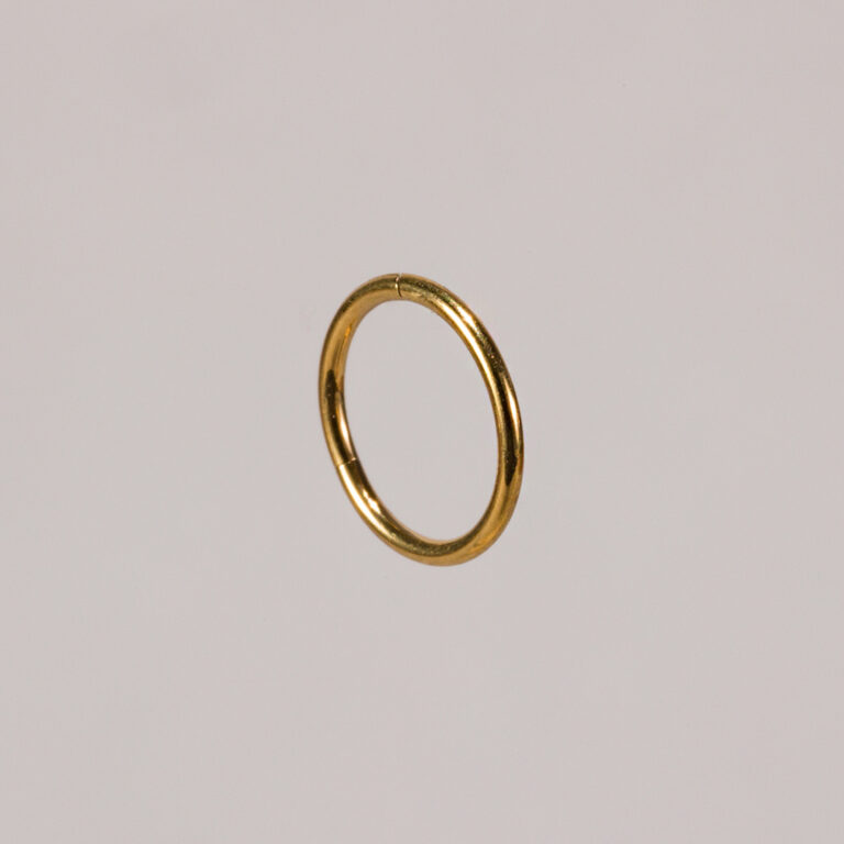 Mini Aro Gold | Darwin Collection